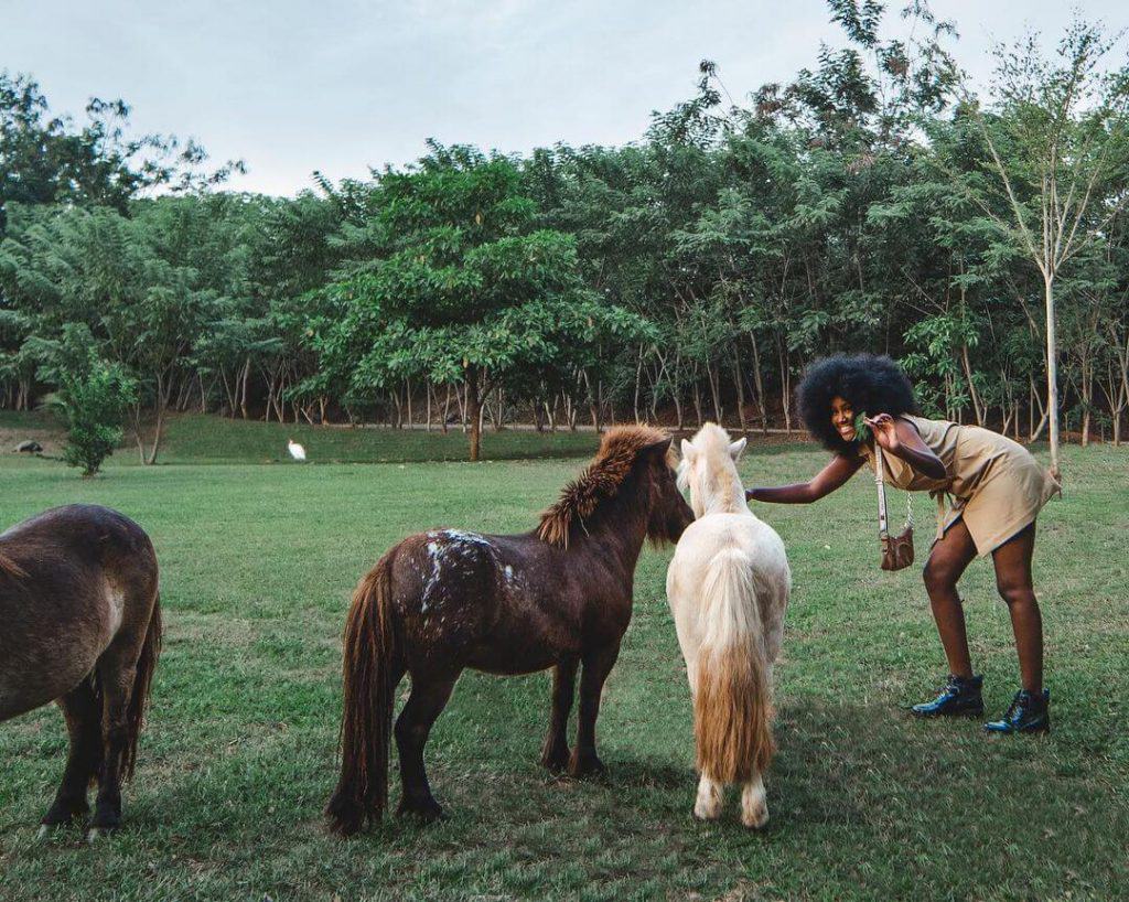 Wildlife & Animals – Safari Valley Resort