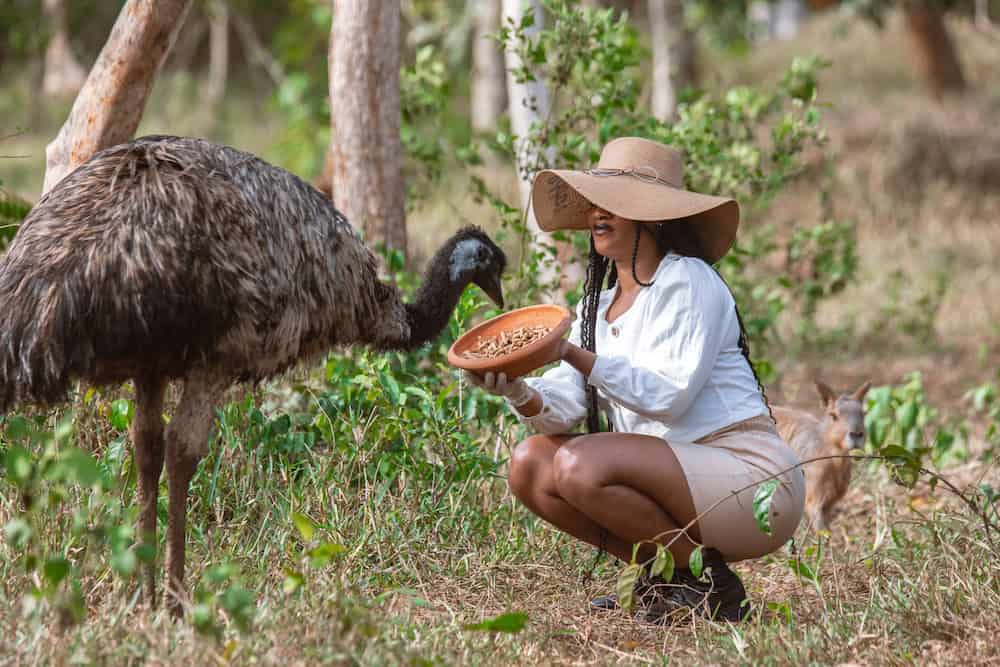 Wildlife & Animals – Safari Valley Resort